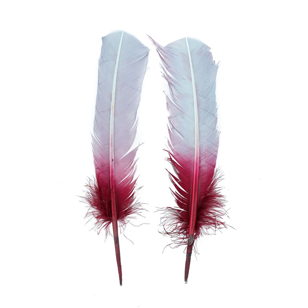 Burgundy & Silver Two Tone Ombre Dipped Turkey Round Feathers For ...