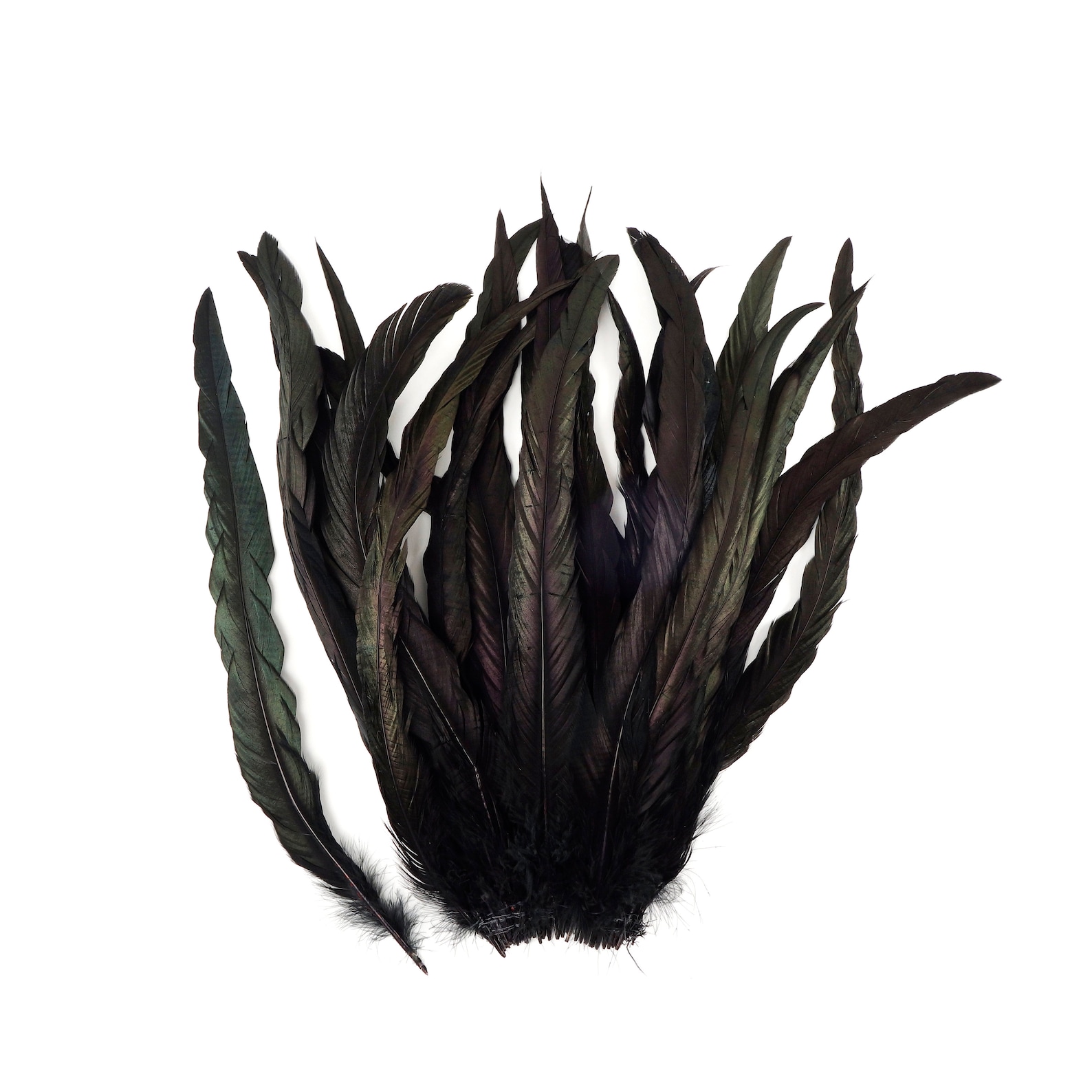 12-14"rooster Coque Tail Feathers, Black Iridescent Dyed Rooster ...