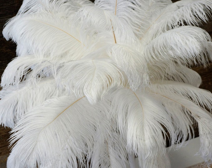 Blank Bamboo Feather Stave DIY Your Own Feather Fan ZUCKER® | Etsy