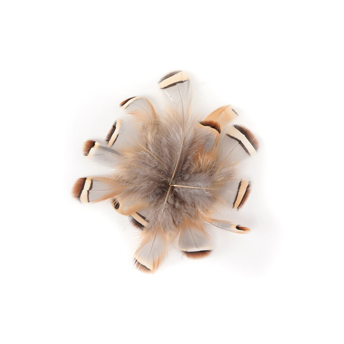 Natural Loose Partridge Plumage Bulk 1/4LB Partridge Feathers | Etsy