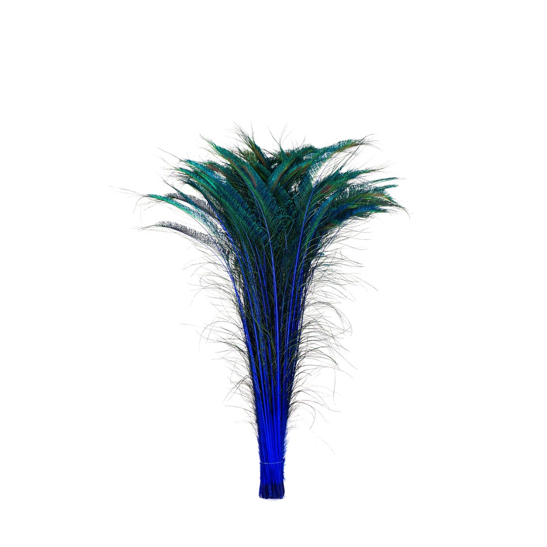 Long Peacock Swords 10 to 100 Pcs 25-40" Stem Dyed ROYAL Blue Floral ...