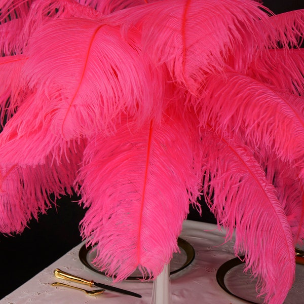 Large Feathers - Etsy