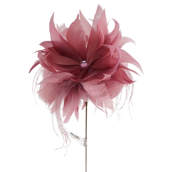 Ornamental Feather Like Flowers 10 Companions For Ornamental Grasses