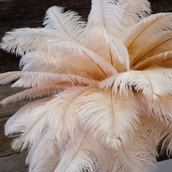 Pink Ostrich Feathers - Etsy