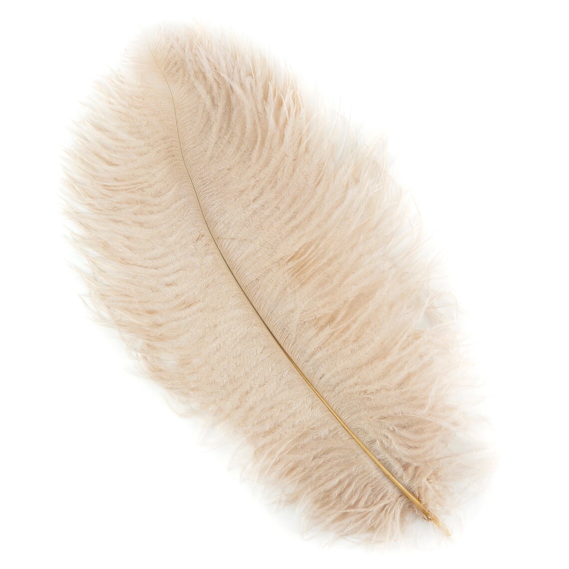 Ostrich Feathers 13-16" BEIGE 25 PIECES for Feather Centerpieces, Party ...