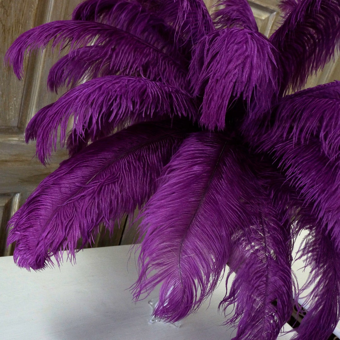 Ostrich Feathers 17-20" PURPLE, 1 to 25 Pcs, Ostrich Plumes, Carnival ...