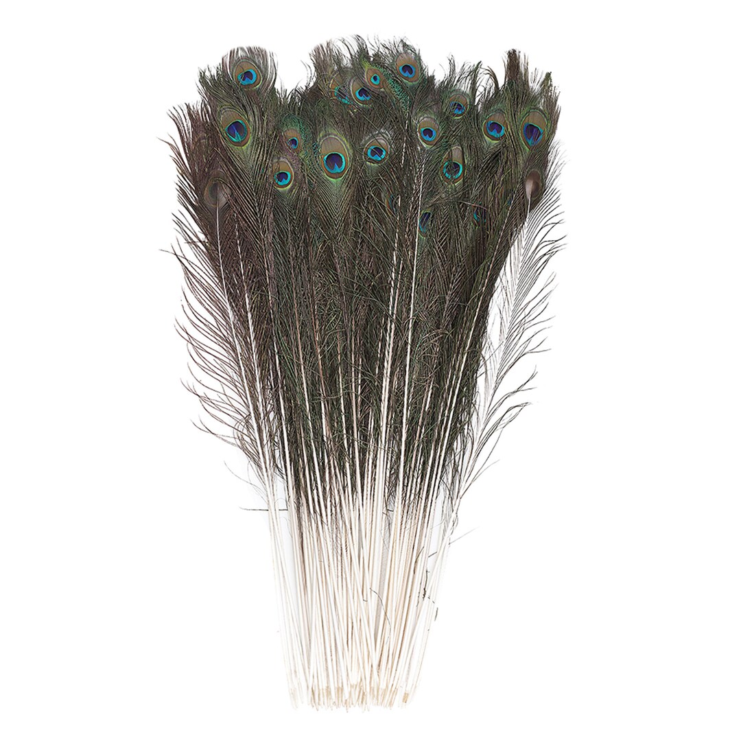 BULK 25-35" Natural Peacock Feathers 100pc/pkg - NATURAL Peacock Tail ...