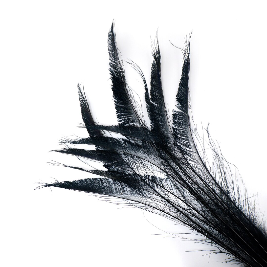 Bleach Dyed Peacock Sword Feathers 10 to 100 Pieces 15-25 BLACK Floral ...