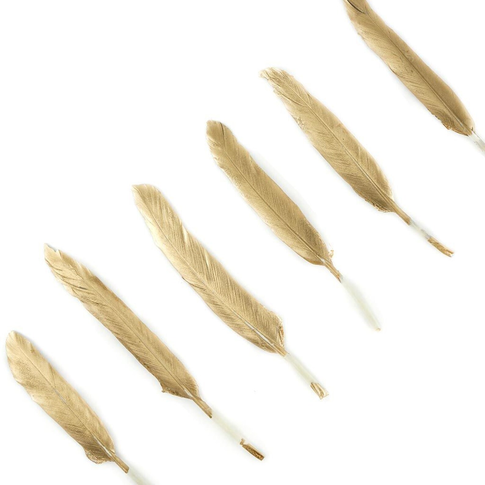 4-6" GOLD Gilded Goose Pointer Feathers 12 Pieces - for Arts & Crafts ...