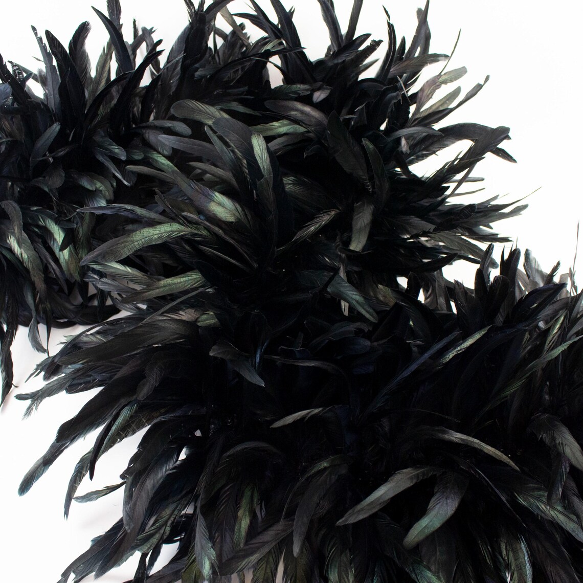 CUSTOM Double Long 12ft Black Coque Tail Feather Boa for Burlesque ...