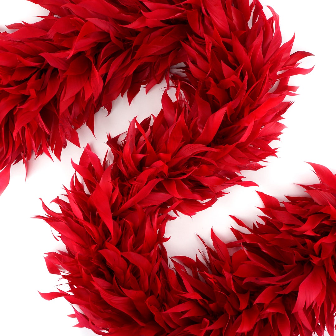 Fancy Feather Boa, Red Goose Feather Boa 2 Yards for Party Favors, Kids ...