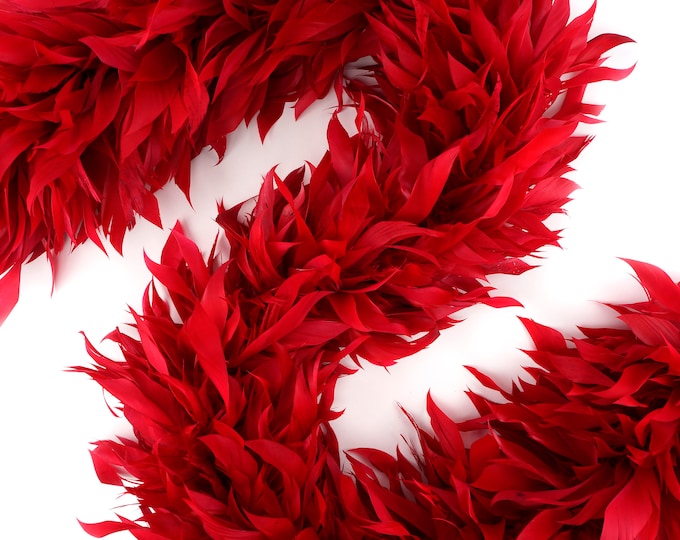 Fancy Feather Boa, Red Goose Feather Boa 2 Yards for Party Favors, Kids ...