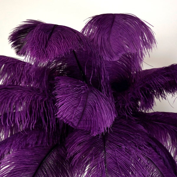 Large Feathers - Etsy