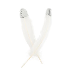 White & Silver Metallic Tipped Turkey Round Feathers 2 Pieces for ...