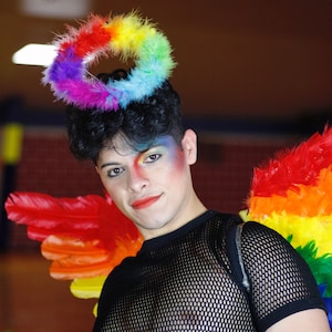 Rainbow Angel Feather Wings & Halo Set, PRIDE Angel Wings and Halo ...