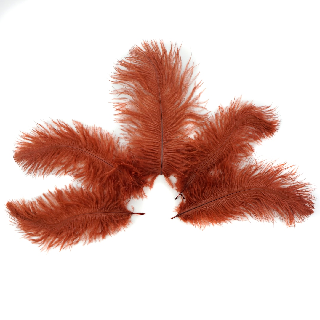 Mini Ostrich Drab Feathers 4-8" Copper, Floral Bouquets, Hat Trims 200 ...