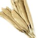 4-6" GOLD Gilded Goose Pointer Feathers 12 Pieces - for Arts & Crafts ...