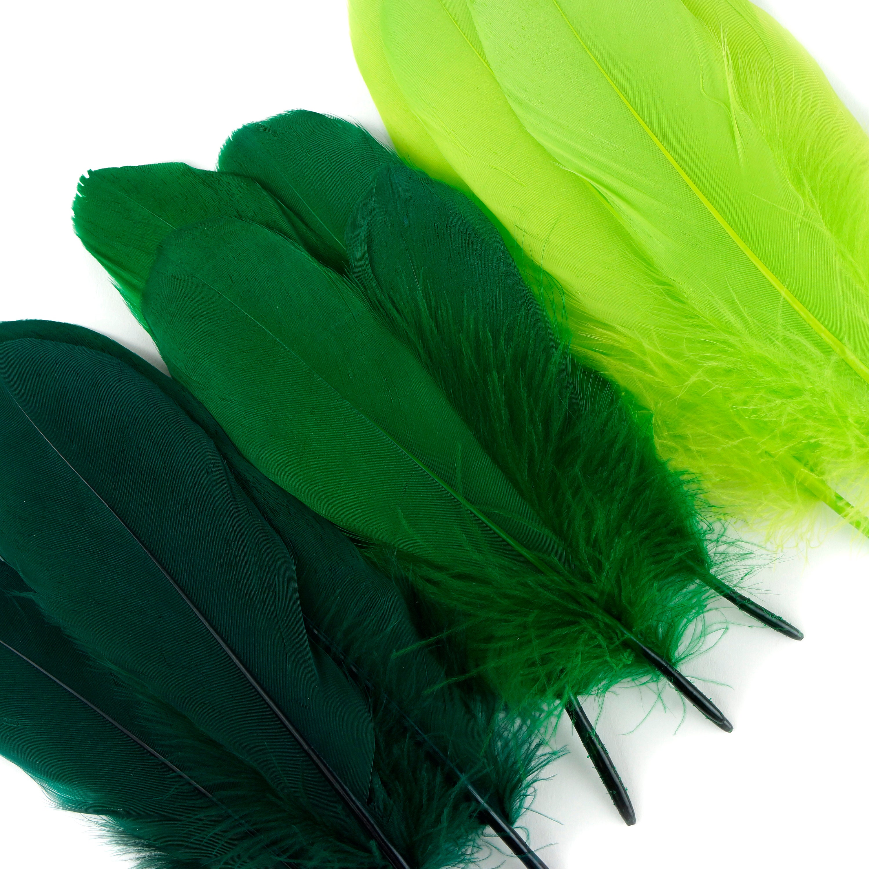 Mixed Dyed Goose Pallet Feathers 12 Pieces SHAMROCK Goose Feathers ...