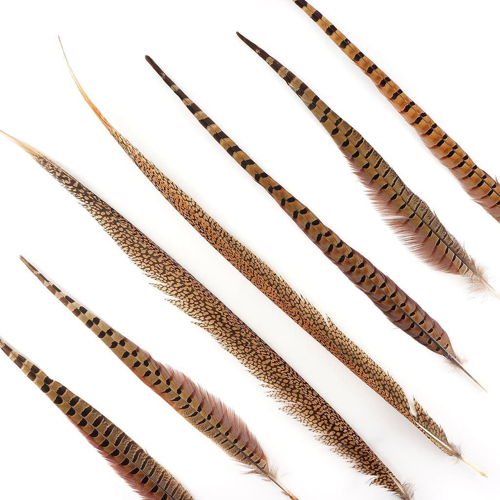 Long Pheasant Feathers, 16-30 Inch Natural Ringneck & Golden Assorted ...
