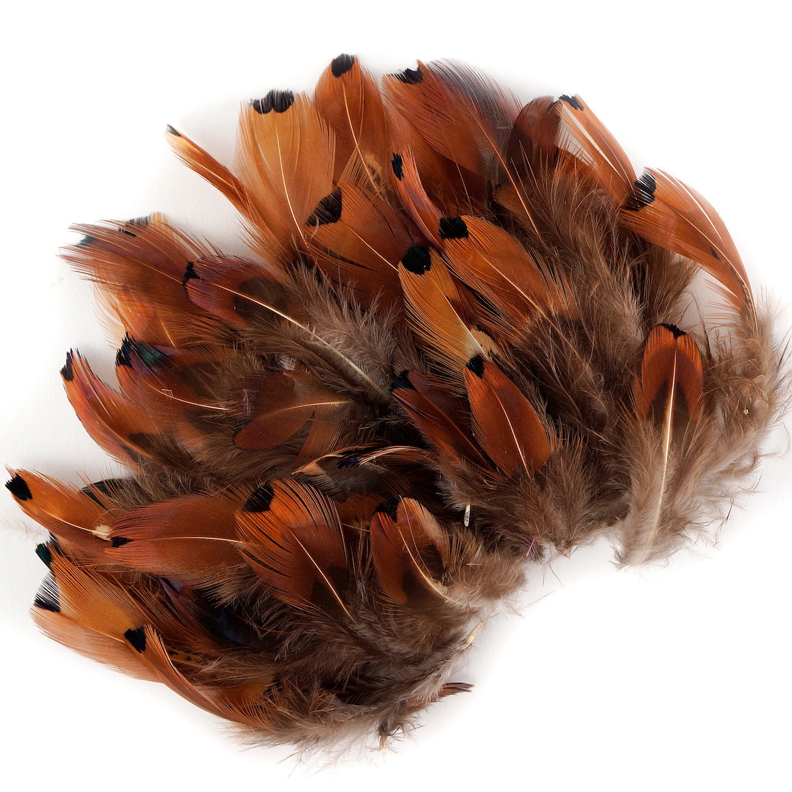 Pheasant Feathers, Natural Heart Pheasant Plumage, Loose Short Natural ...