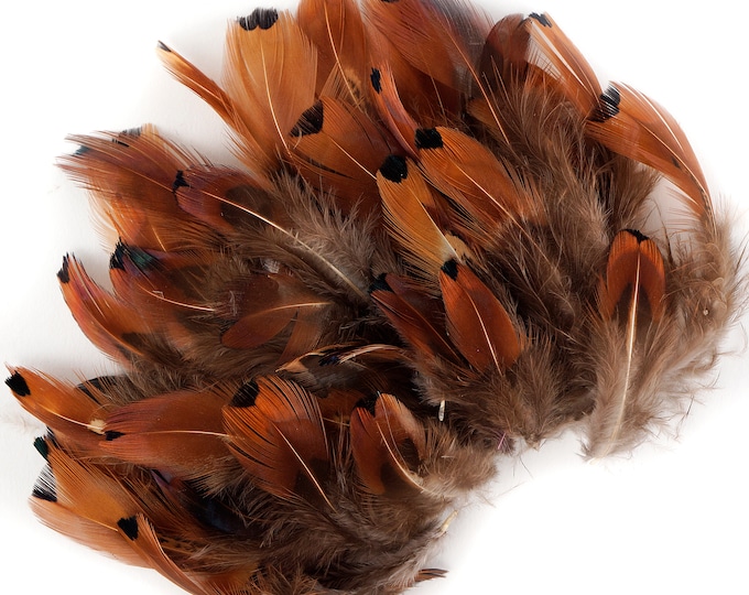 Pheasant Feathers, Natural Heart Pheasant Plumage, Loose Short Natural ...