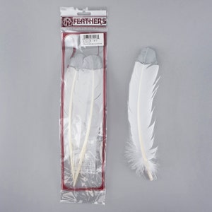 White & Silver Metallic Tipped Turkey Round Feathers 2 Pieces for ...