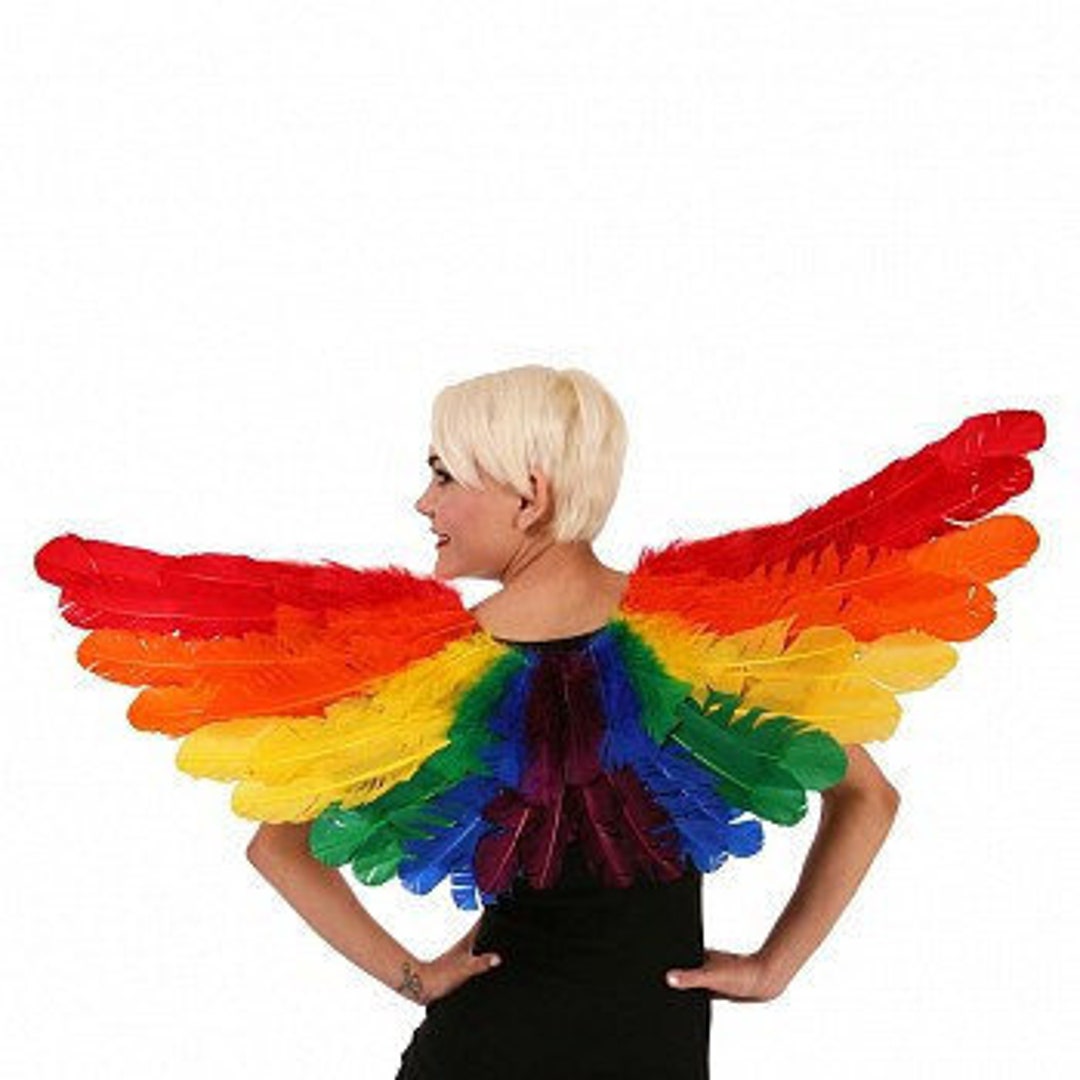 Rainbow PRIDE Feather Wings - Carnival Costume Festival Wings, LGBTQ ...