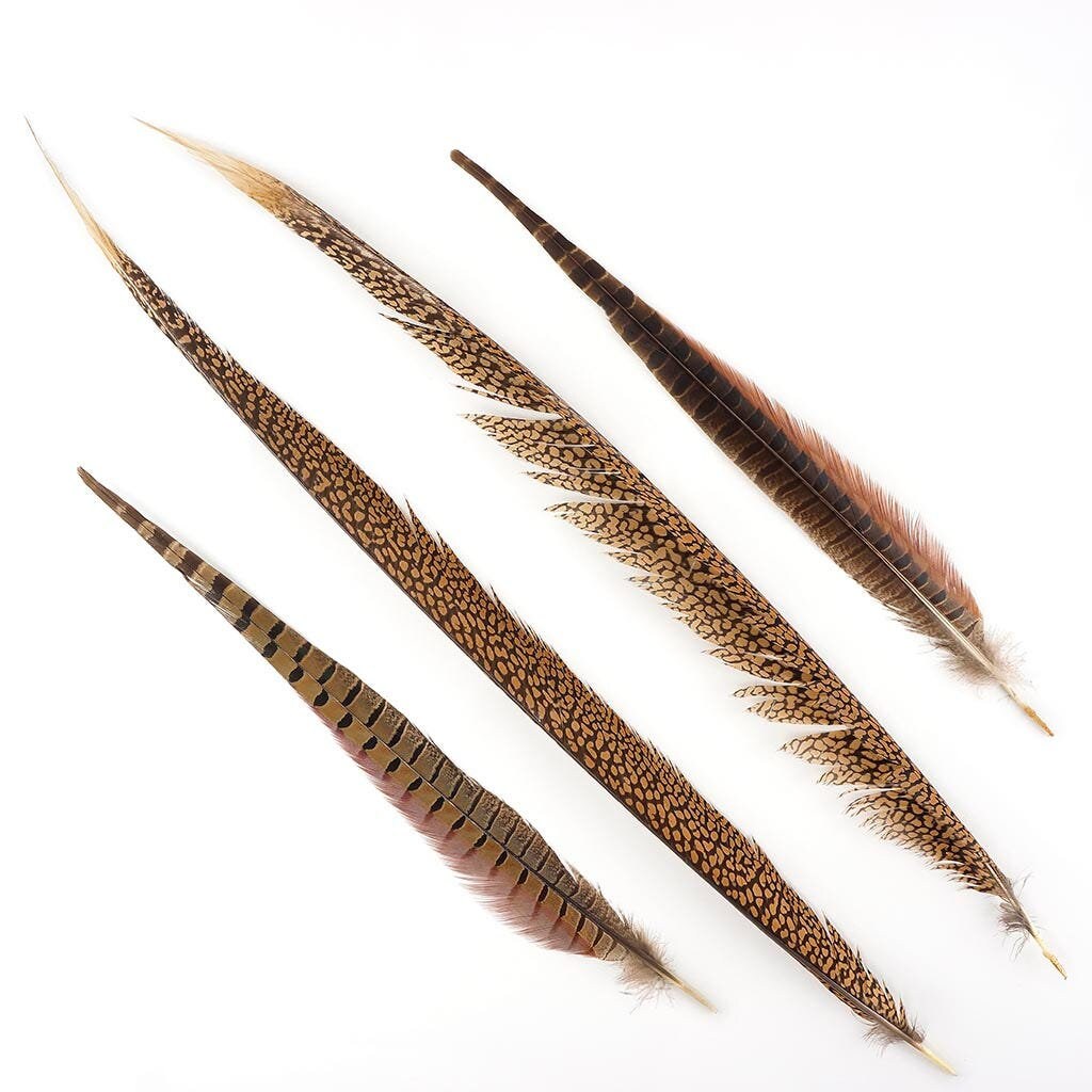 Long Pheasant Feathers, 16-30 Inch Natural Ringneck & Golden Assorted ...