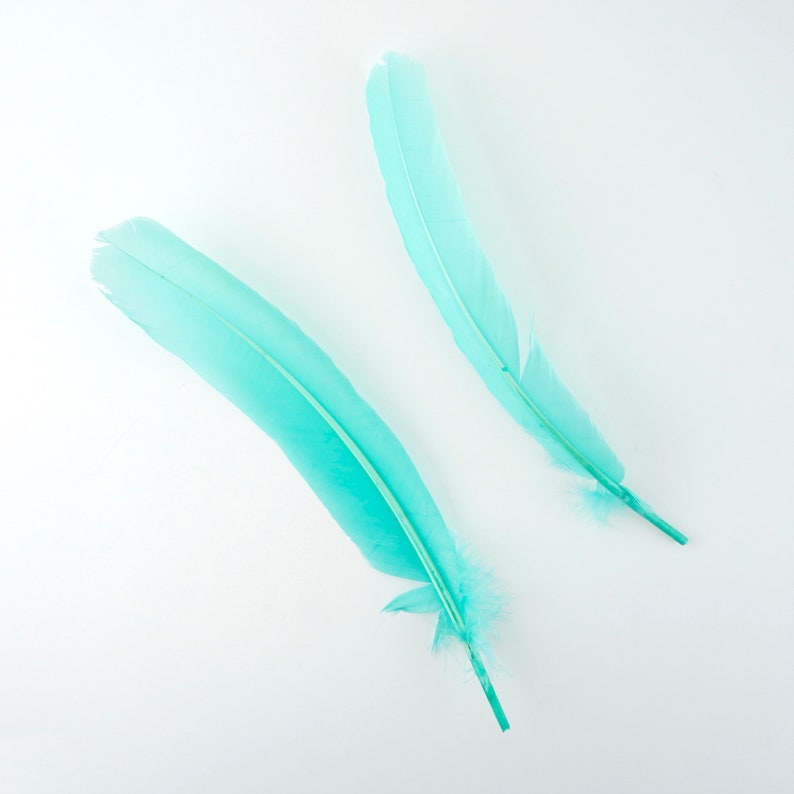 Mint Green Turkey Quill Feathers, 8-12", Arts & Crafts, Cosplay ...