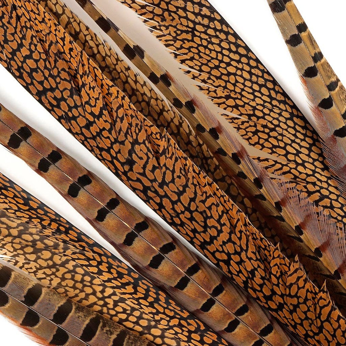 Long Pheasant Feathers, 16-30 Inch Natural Ringneck & Golden Assorted ...