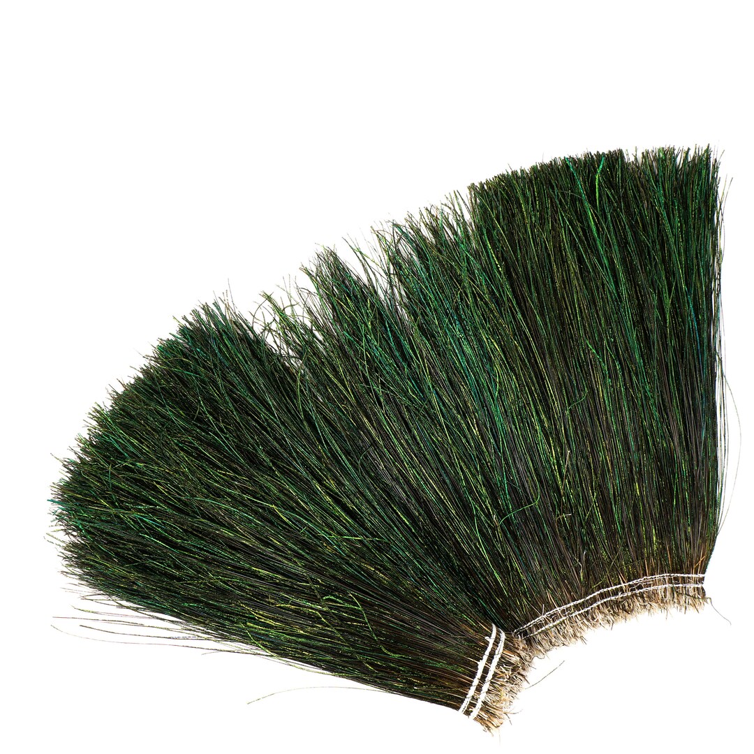 Peacock Flue, 10-12" NATURAL Iridescent Green Peacock Flue, Long ...