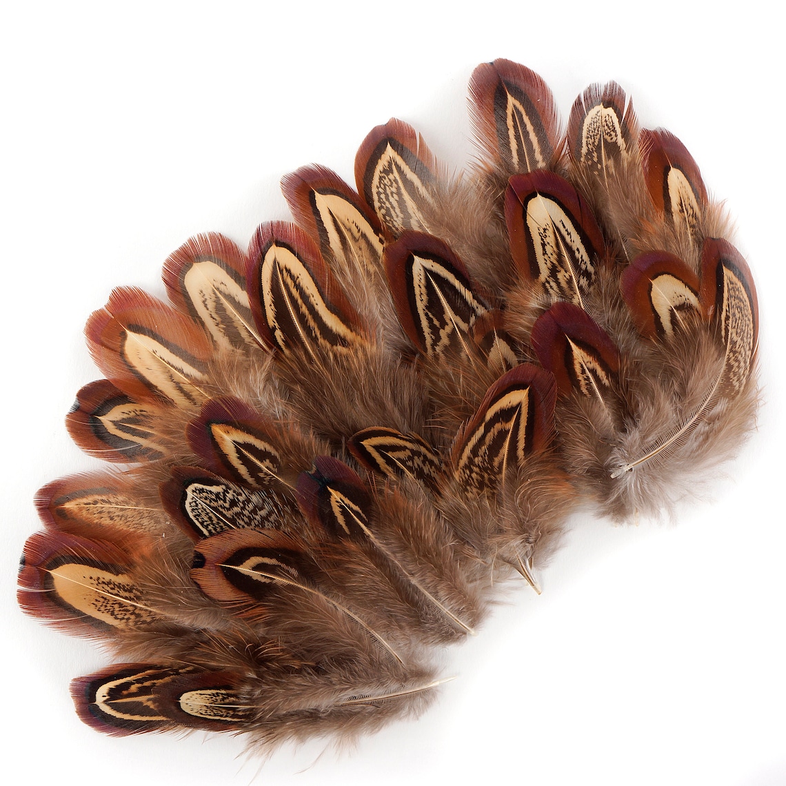 Pheasant Feathers Natural Almond Pheasant Plumage Loose - Etsy.de