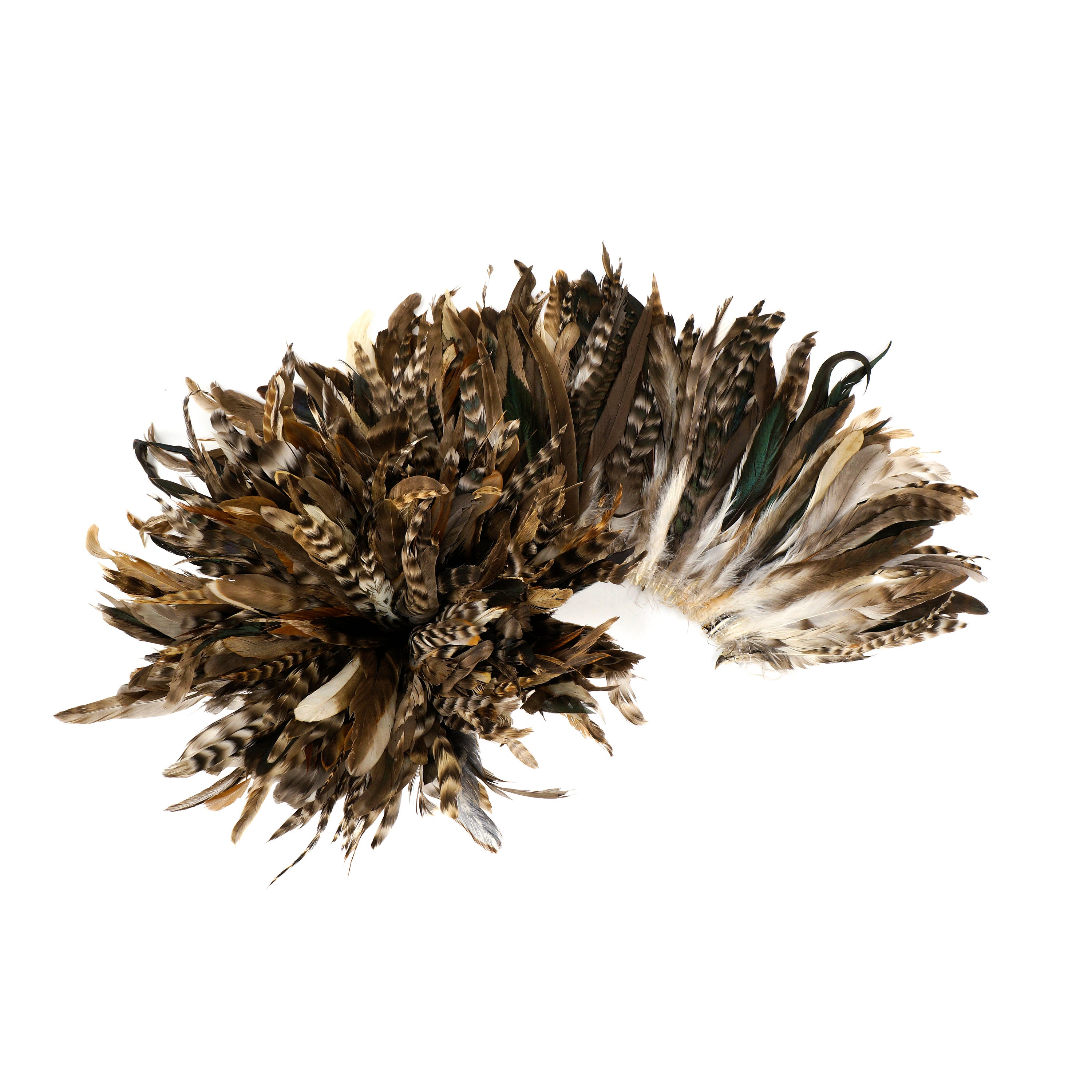 Natural Chinchilla Barred Rooster Feathers, Carnival Costume Design 1/4 ...
