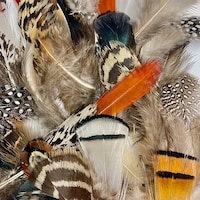 Super Long Feathers,30 Pieces - Wholesale XL Thin Long Mix Rooster Hair ...