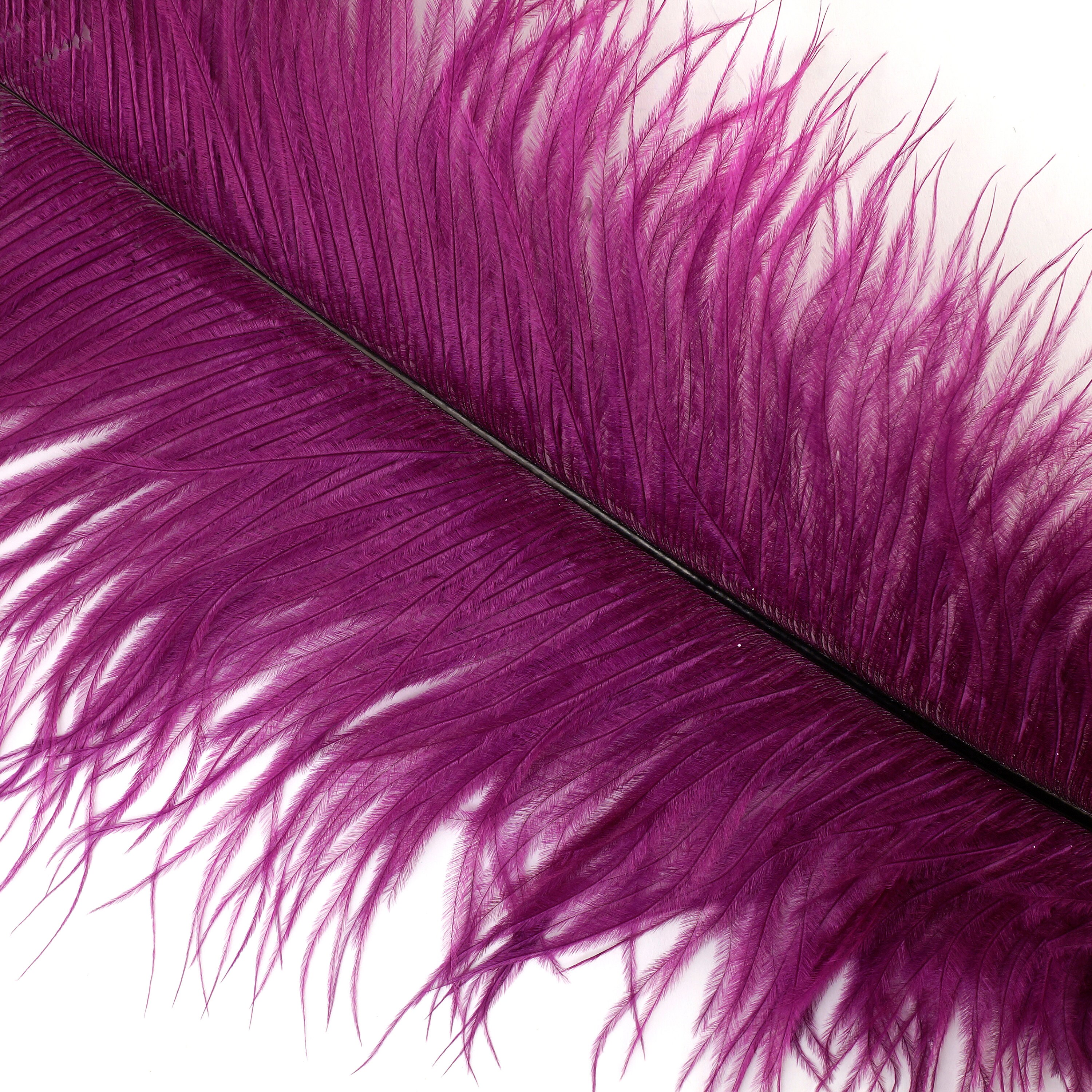 Ostrich Feathers Purple Ostrich Feather Spads 18-24 | Etsy