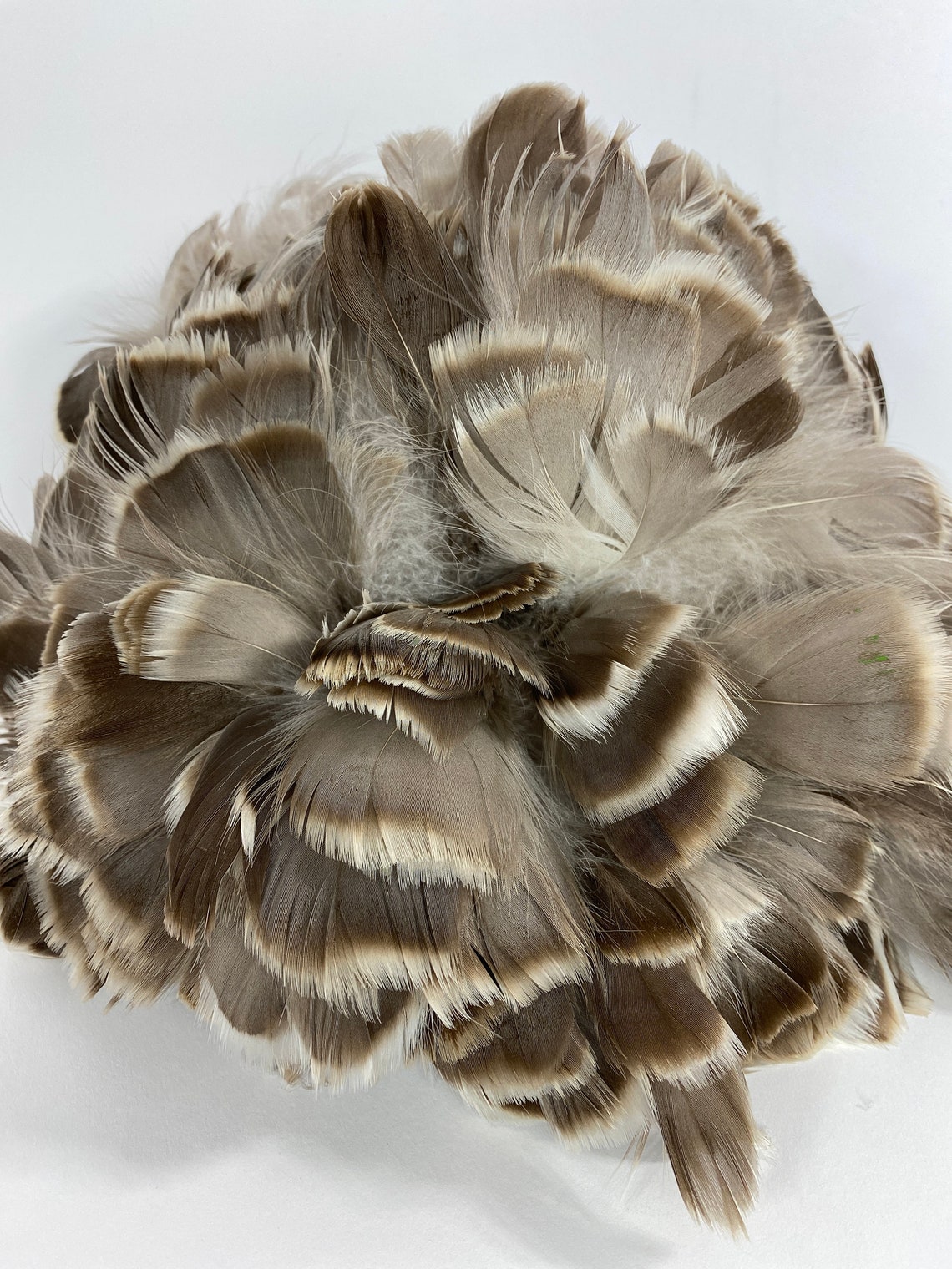 Goose Coquille Natural Grey Feathers 4-5" Strung Goose Feathers Bulk 0 ...