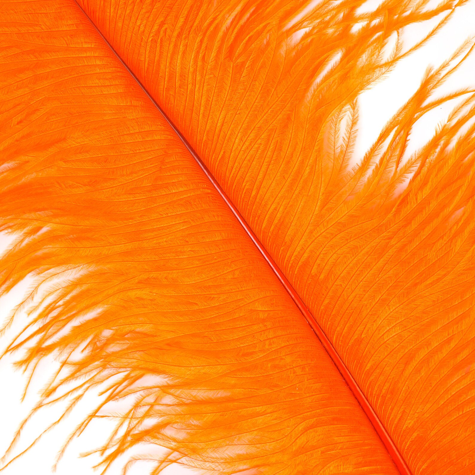 Ostrich Feathers 13-16" ORANGE - for Feather Centerpieces, Party Decor ...