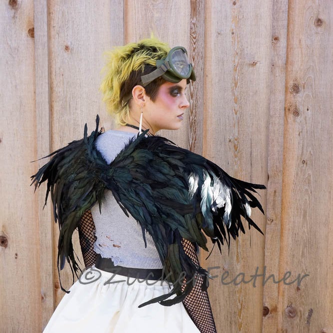 Black Bird Wings Costume