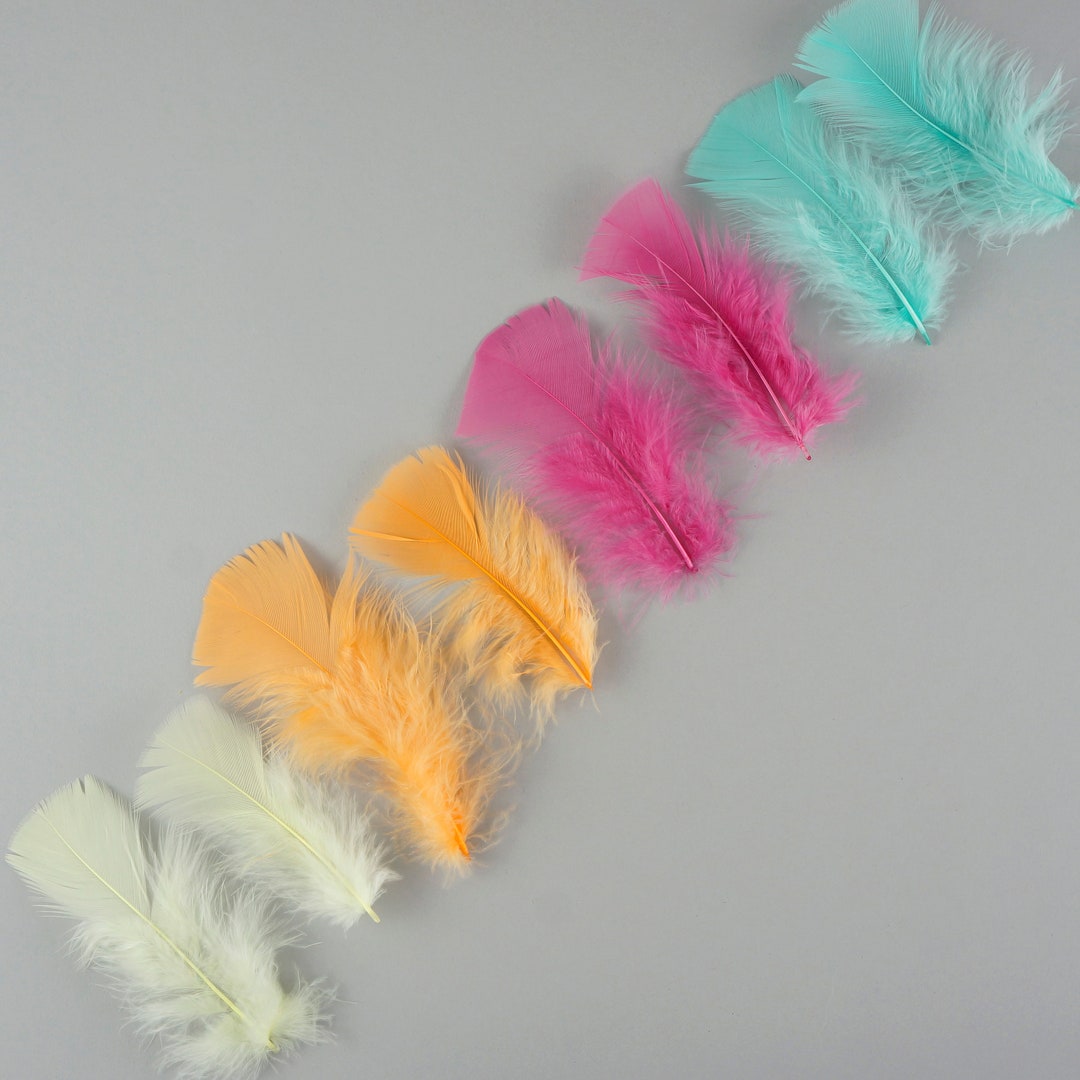 Melon Mix Turkey Feathers, 3-5" Craft Supply 130 Pieces - Etsy
