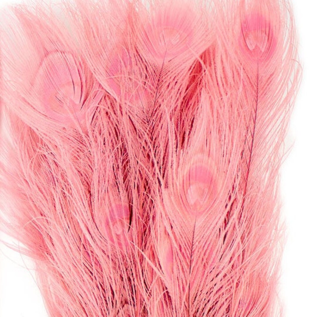 Peacock Feathers 5 To 100 Pieces Candy Pink Bleached Dyed Peacock Feathers Pink Peacock
