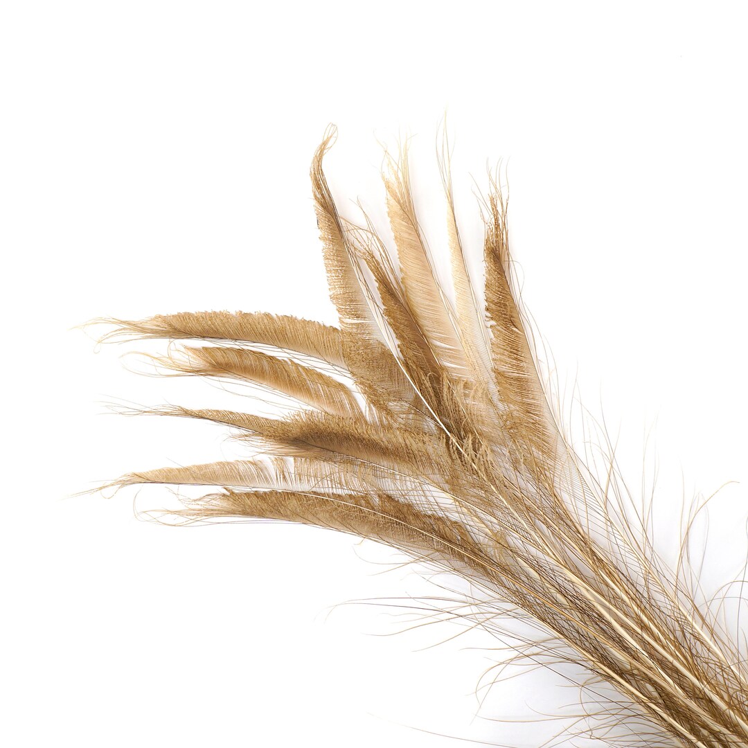 Bleach Dyed Peacock Sword Feathers 10 to 100 Pieces 15-25" GOLDEN ...