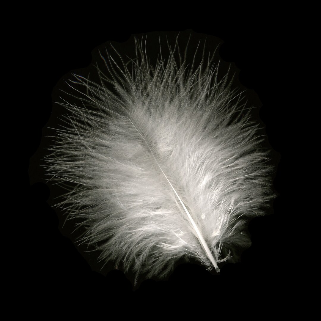 Turkey Feathers, White Loose Turkey Marabou Feathers, Short and Soft ...