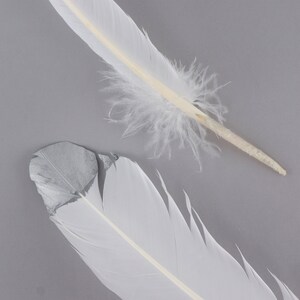 White & Silver Metallic Tipped Turkey Round Feathers 2 Pieces for ...