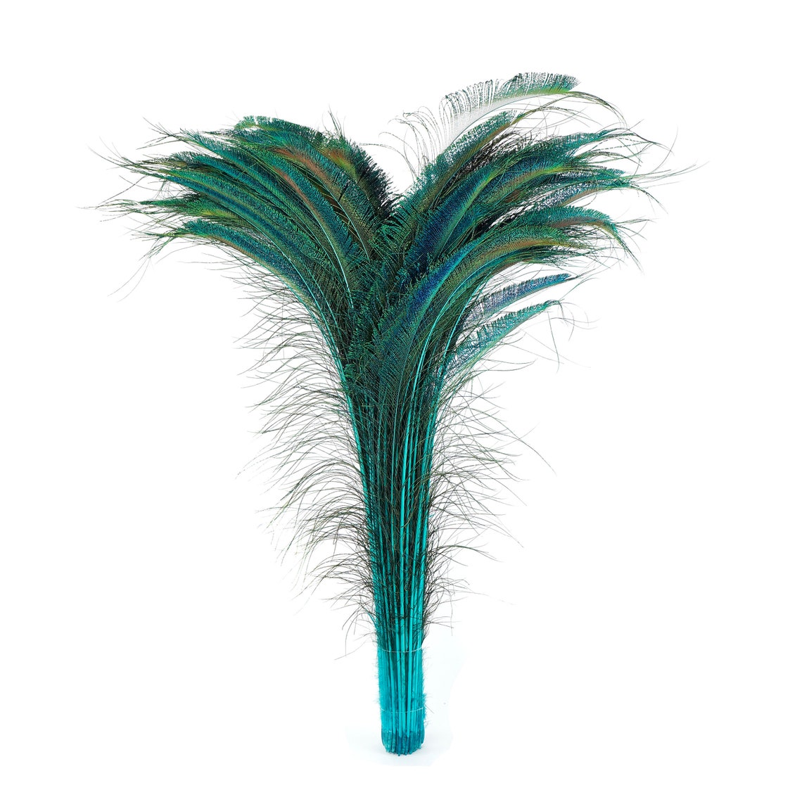 Long Peacock Swords 10 to 100 Pc 25-40" Stem Dyed Light TURQUOISE ...