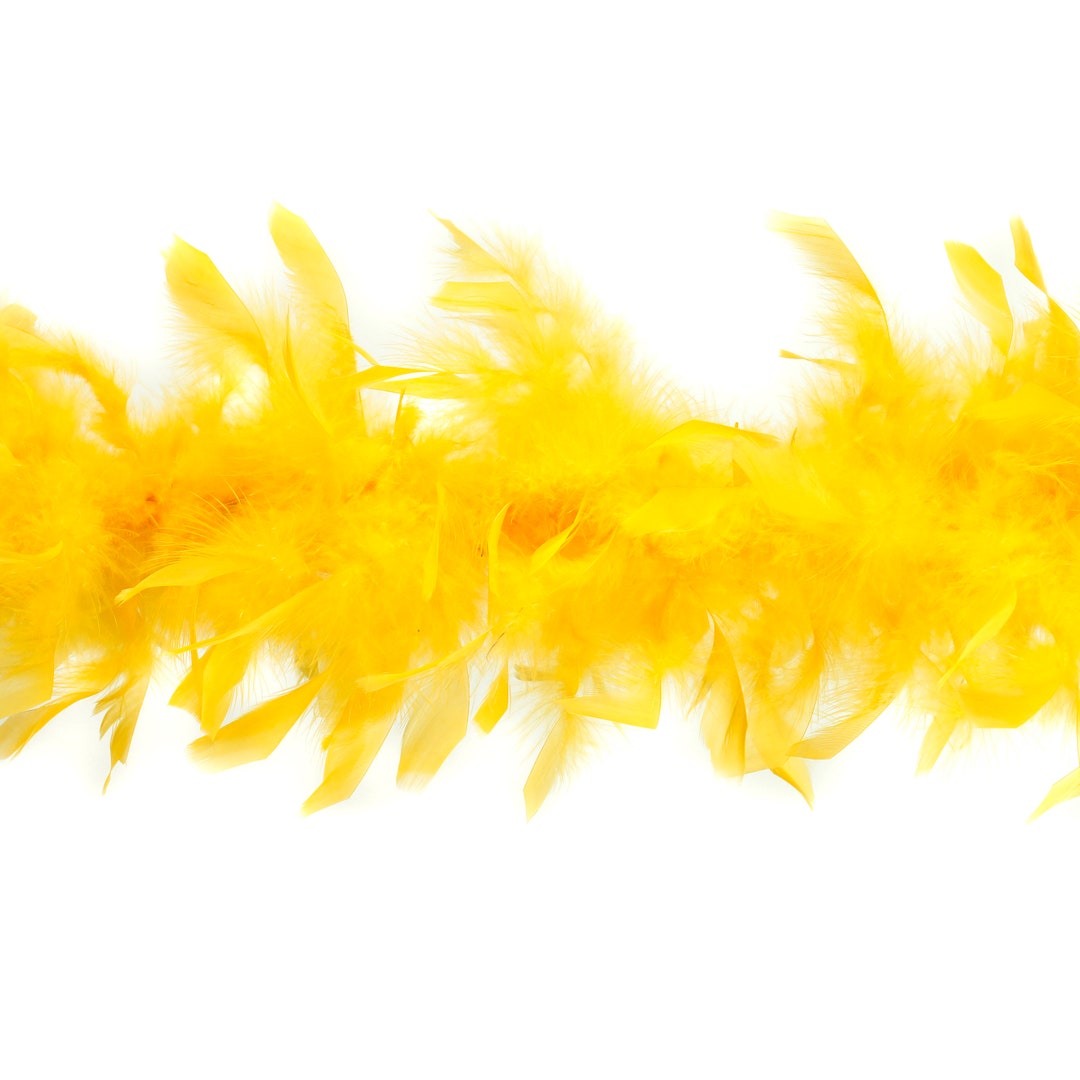 40 Gram Chandelle Feather Boa GOLD 2 Yards for Party Favors, Kids ...