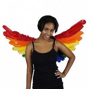 Rainbow PRIDE Feather Wings - Carnival Costume Festival Wings, LGBTQ ...