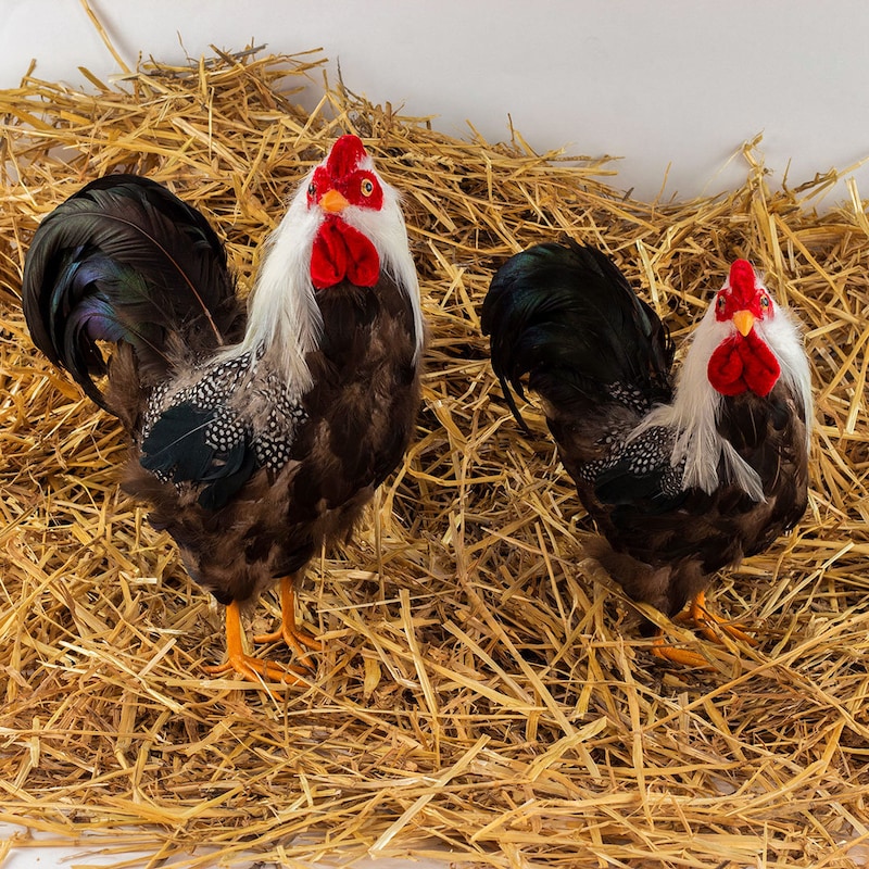 Rooster Decor - Etsy