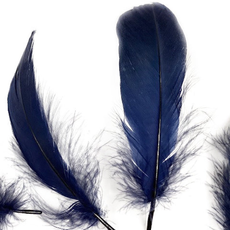 Goose Nagoire Feathers, 4-6" Navy Blue Loose Goose Nagoire Feathers ...