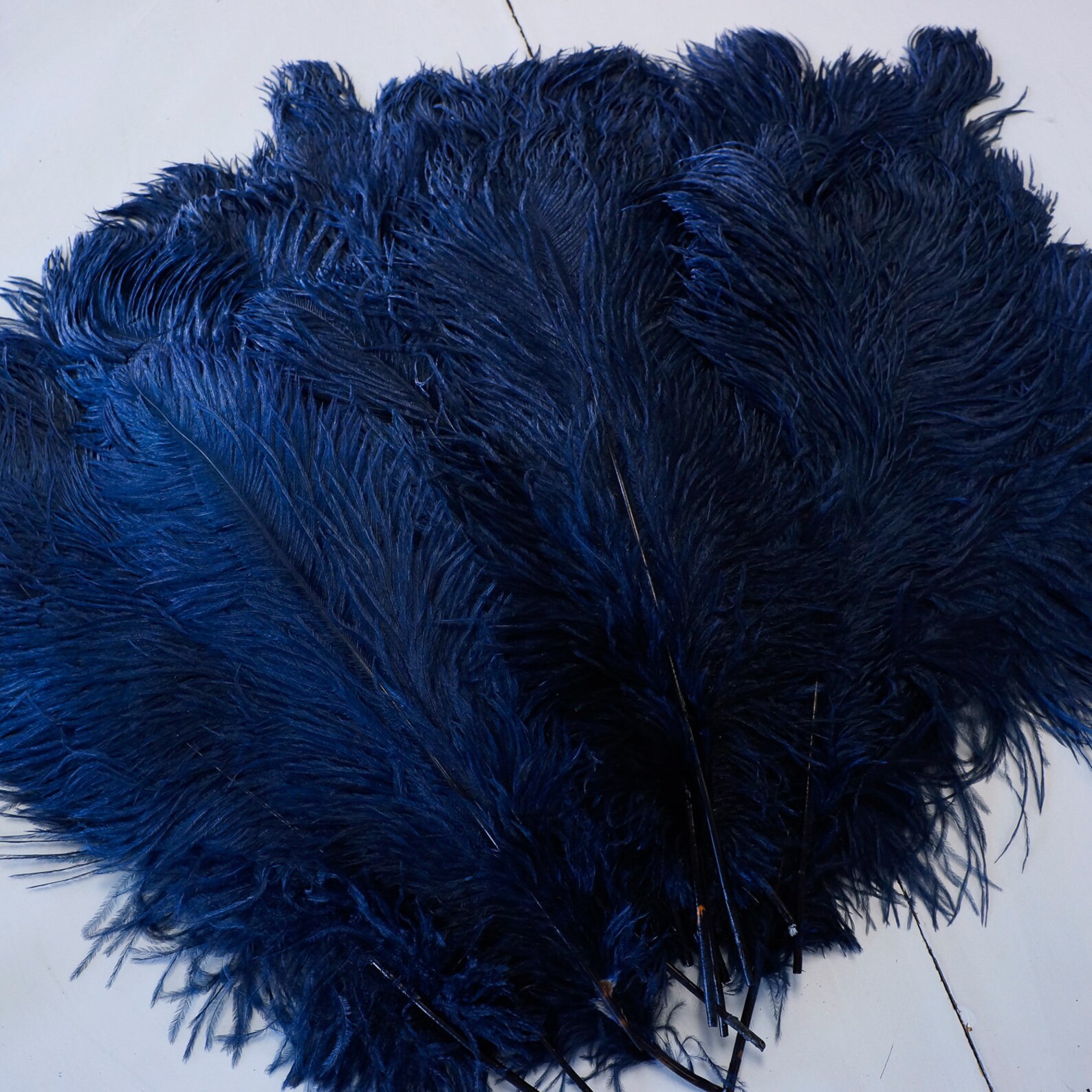 Navy Ostrich Feathers, 17-20", Carnival, Centerpieces, Feather Fan 25 ...