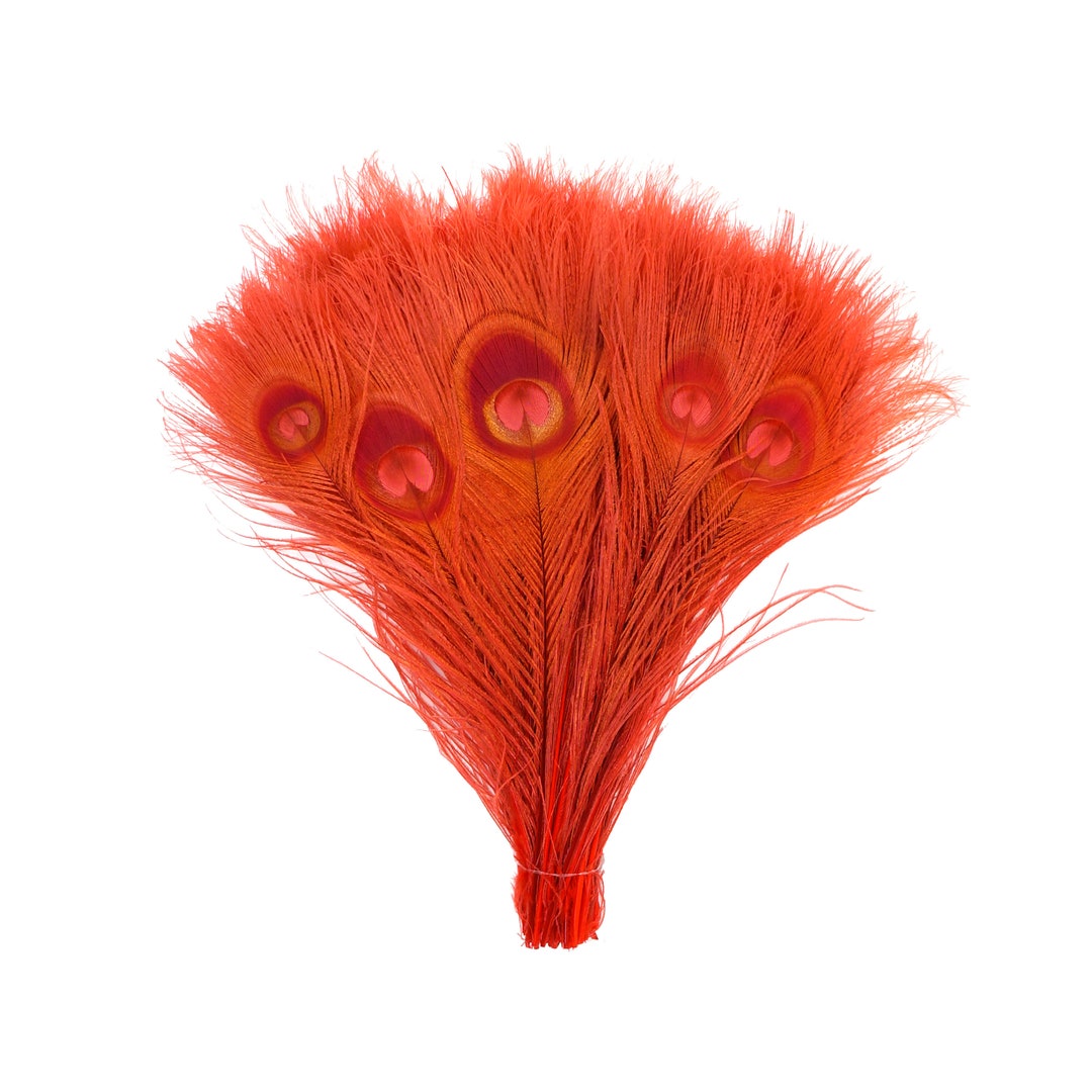 Peacock Feathers, 5 to 100 Pieces, RED Bleached Dyed Tails, Peacock ...